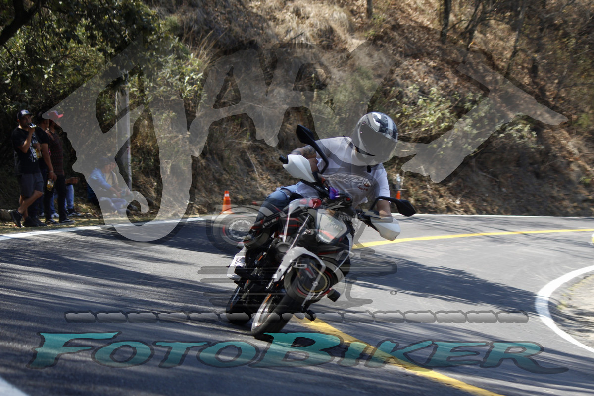 MG 1088 — Postimages