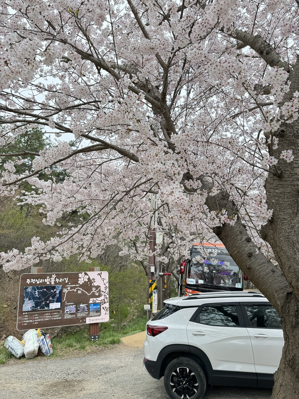 IMG 5195 — Postimages