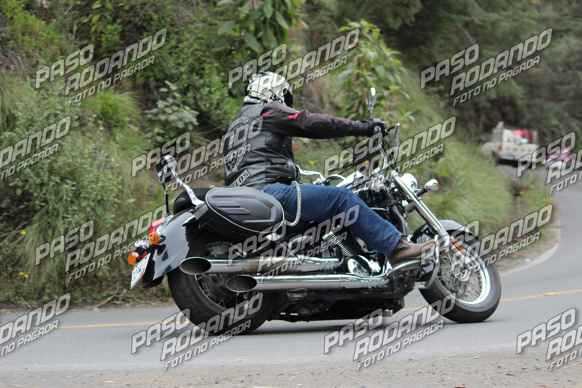 IMG 1686 wm 1951456 7999999998 watermarked — Postimages