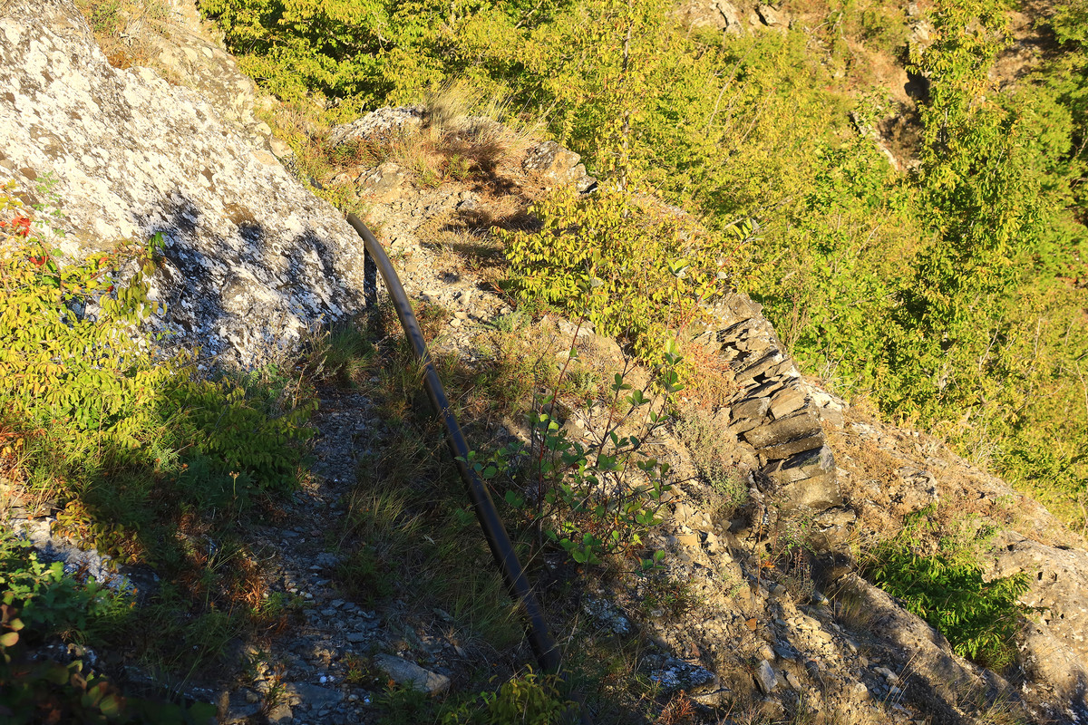 IMG 1347 — Postimages