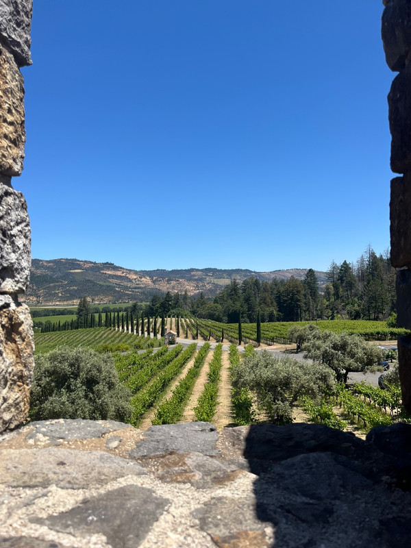 9590695 B 8924 4 F14 91 A1 259 E3 E61 B84 C — Postimages