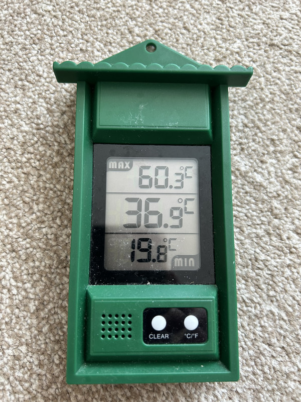 IMG 8664 — Postimages