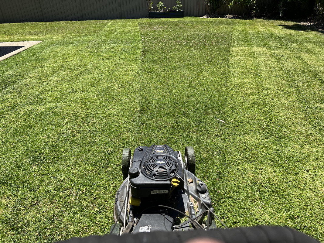 IMG 6293 — Postimages