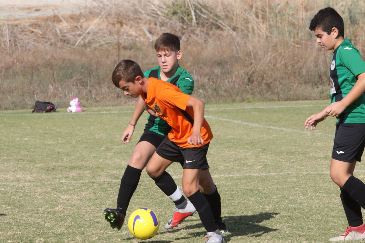 KOS 8131 — Postimages