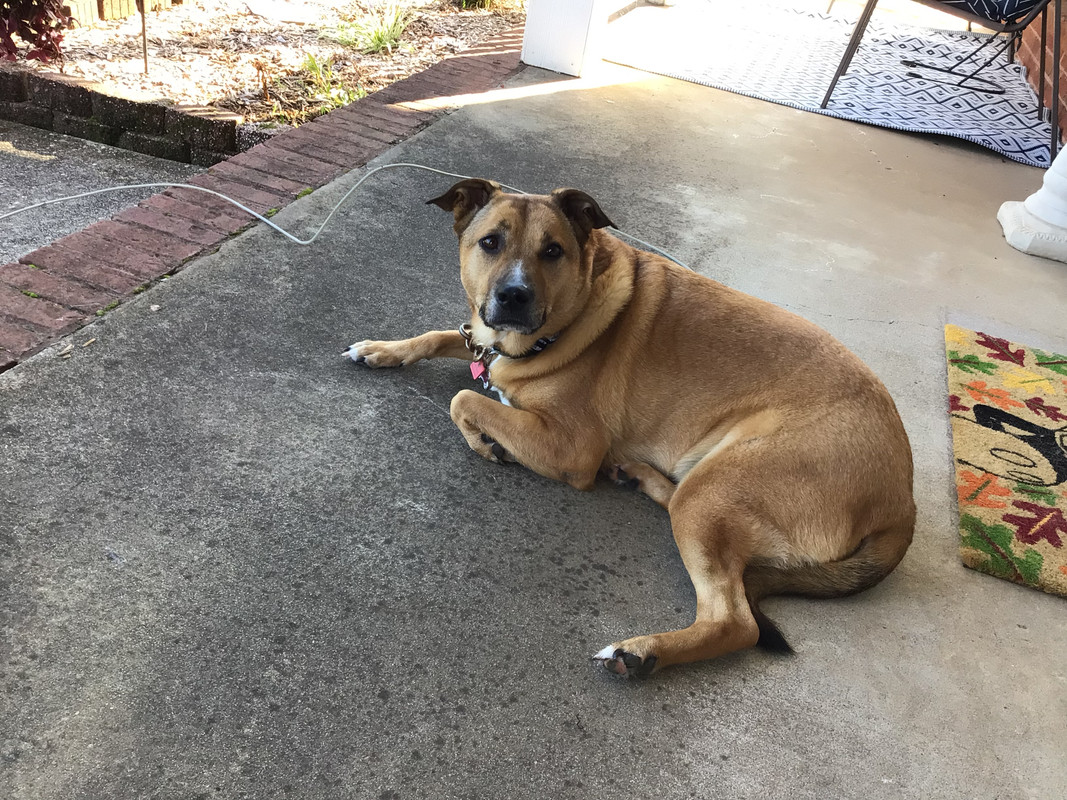 C74 B997 F 80 DD 428 E 88 BD FD173520445 B — Postimages