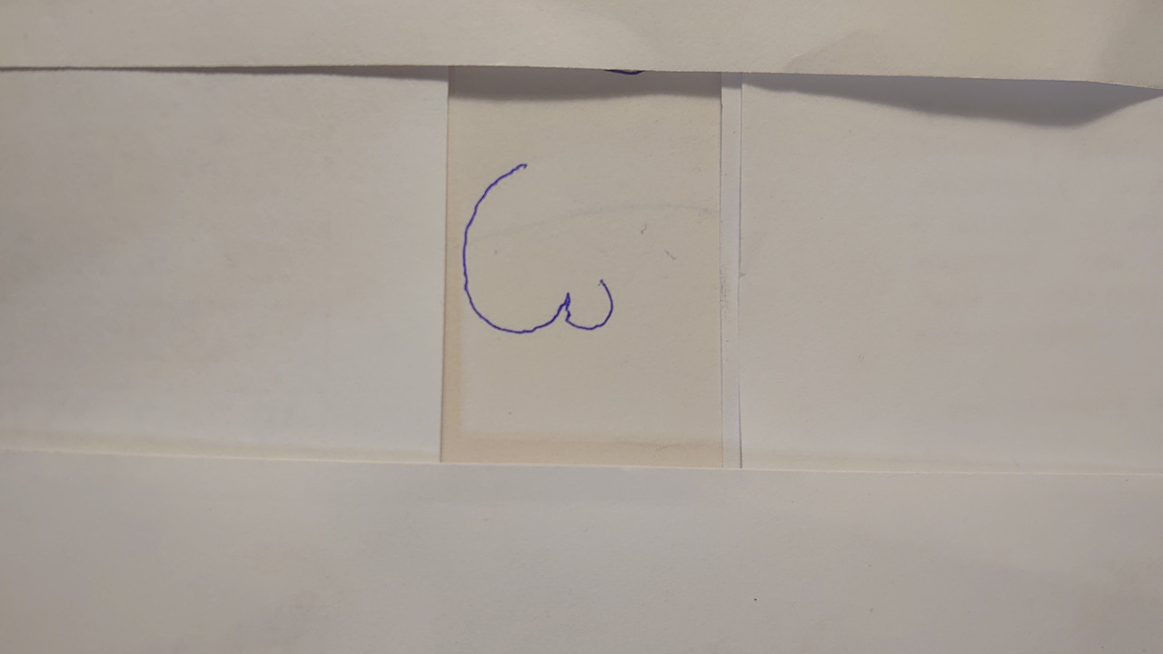 DSC 0769 — Postimages