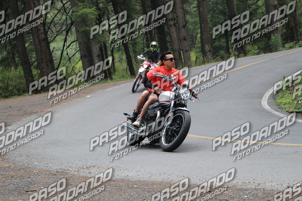 IMG 8123 wm 134991 watermarked — Postimages