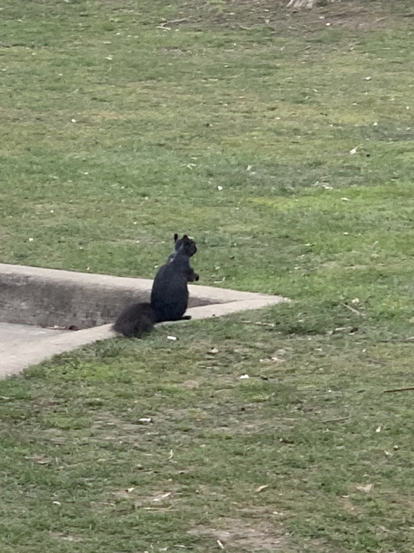 IMG 3291 — Postimages