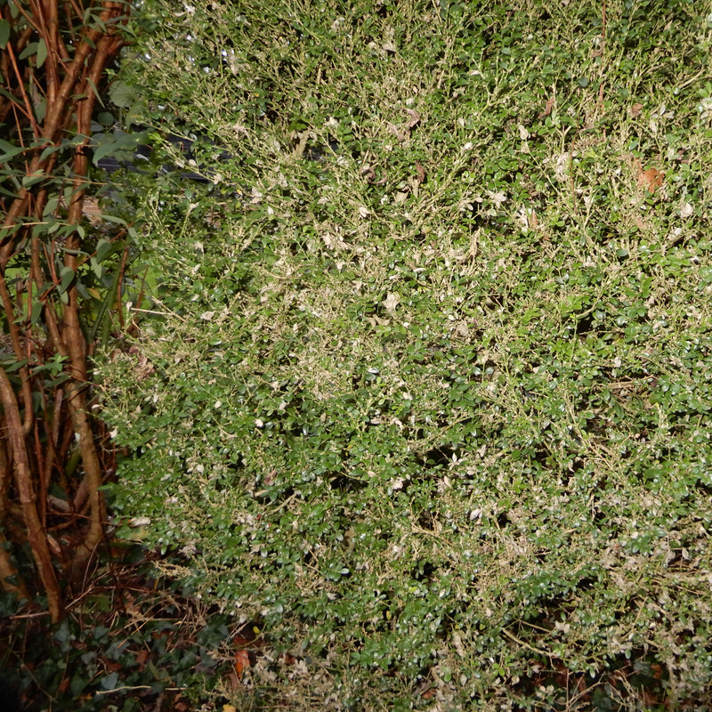 Any Box 025 — Postimages