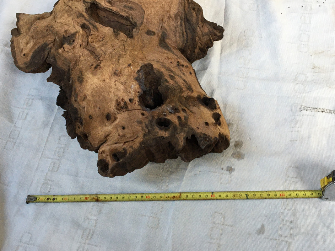 IMG 1696 — Postimages