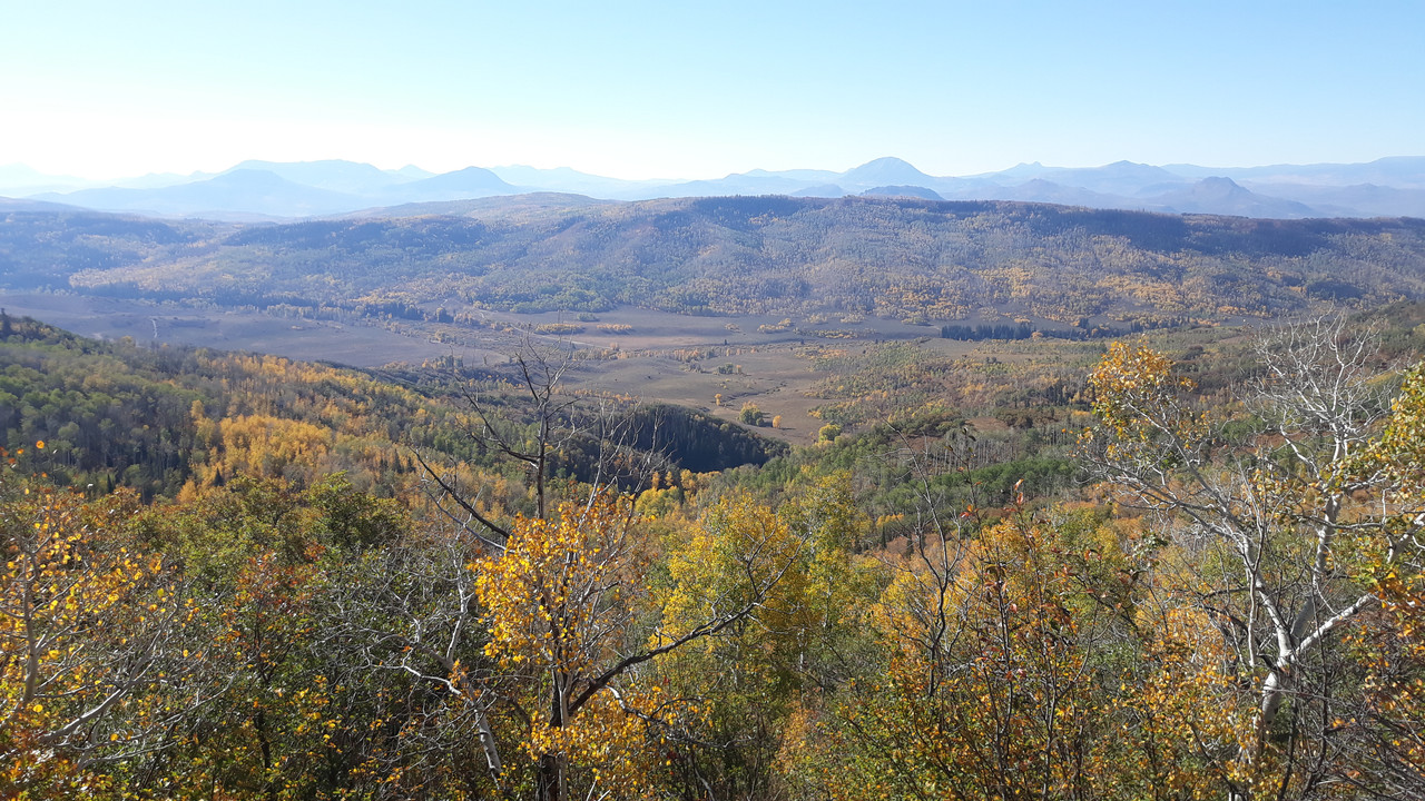 20240930 095244 — Postimages