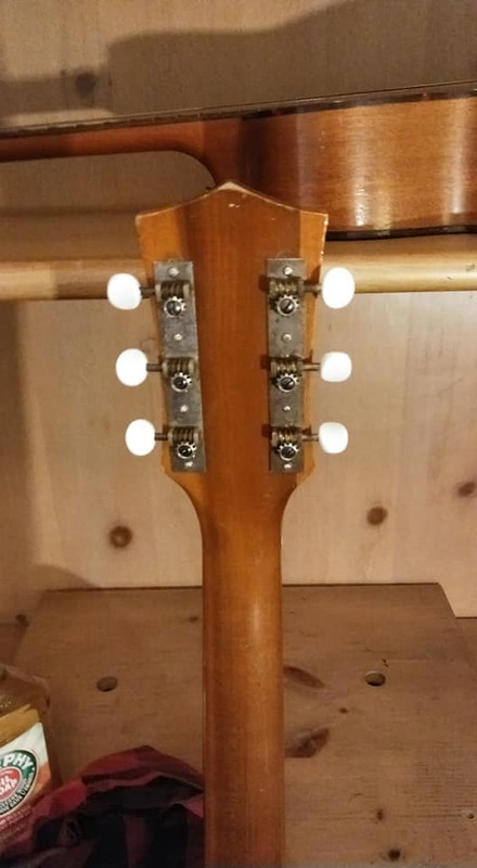 Harmony H 165 headstock 2 — Postimages