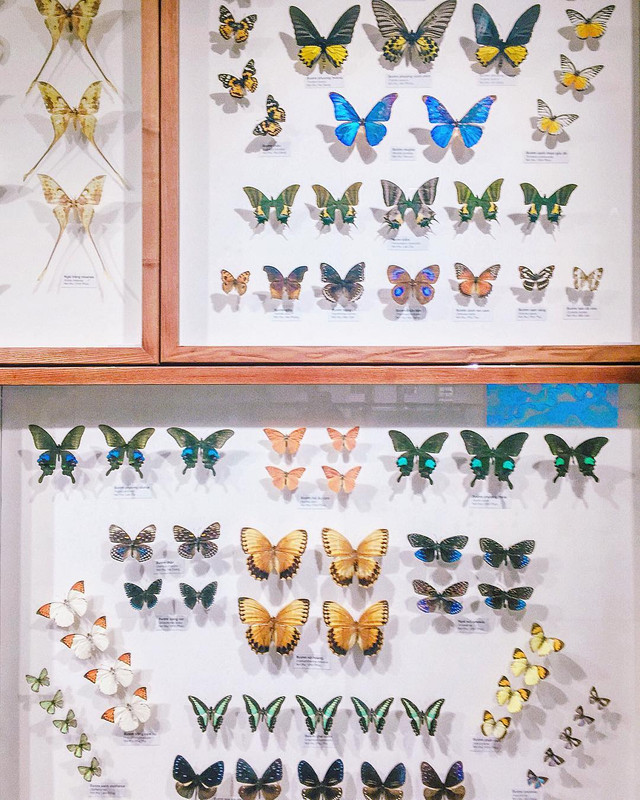 19436456 299599047168491 2745920296258109440 n — Postimages