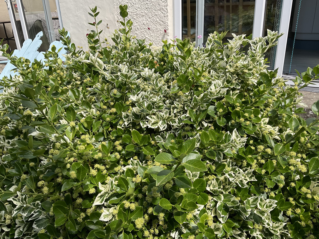 IMG 0182 — Postimages