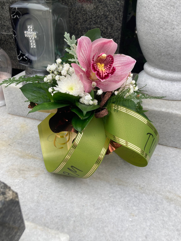 IMG 1450 — Postimages