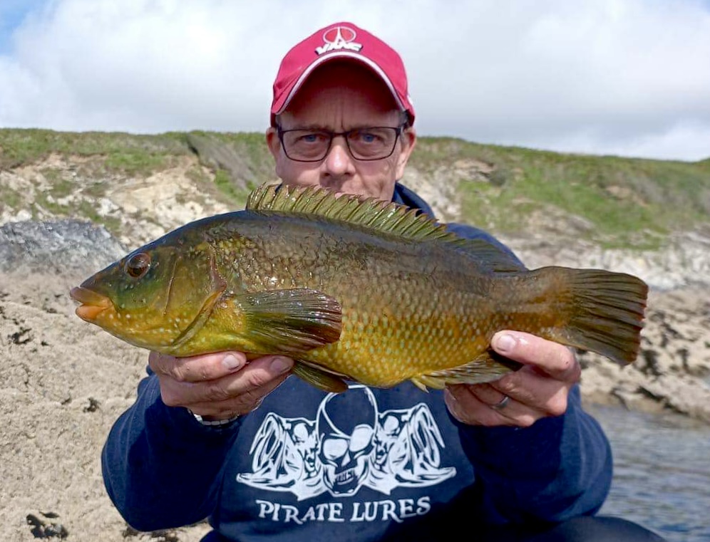 New mark | World Sea Fishing Forums