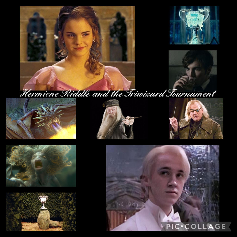 Hermione Riddle and the Triwizard Tournament - Chapter 1 - Eldyra ...