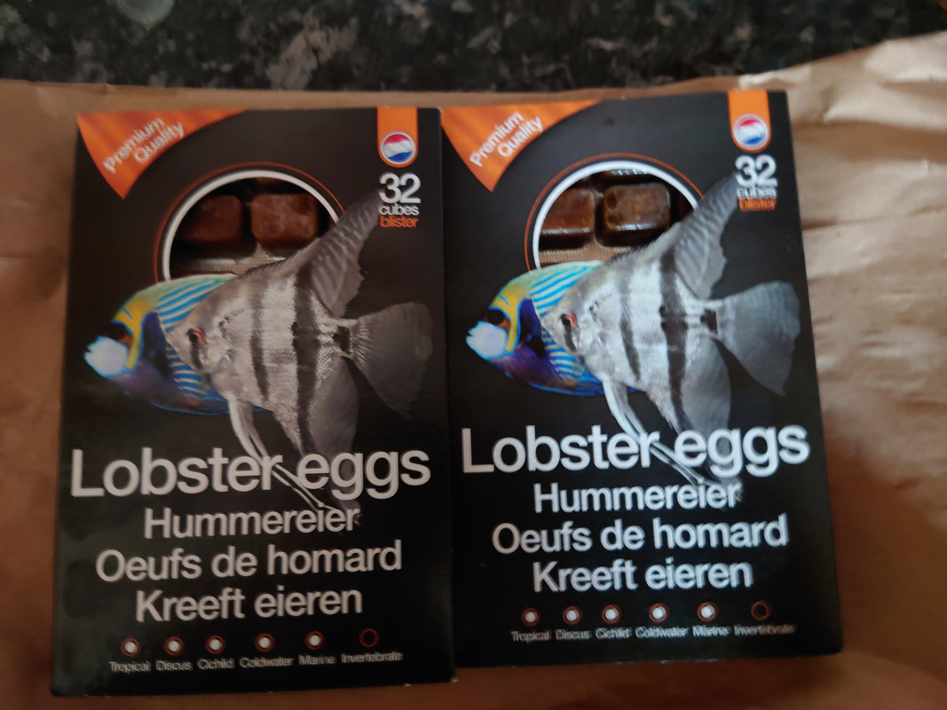 DSC 0262 — Postimages