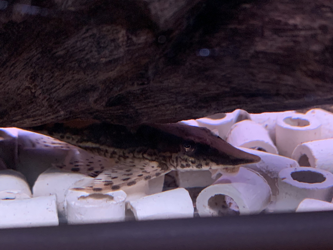 B956 E01 C EF48 450 B 9 B7 C 588 B0 C3 FAB05 — Postimages