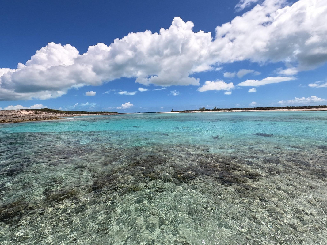 926619 F1 A1 EE 458 F 8669 379 B1 C929425 — Postimages