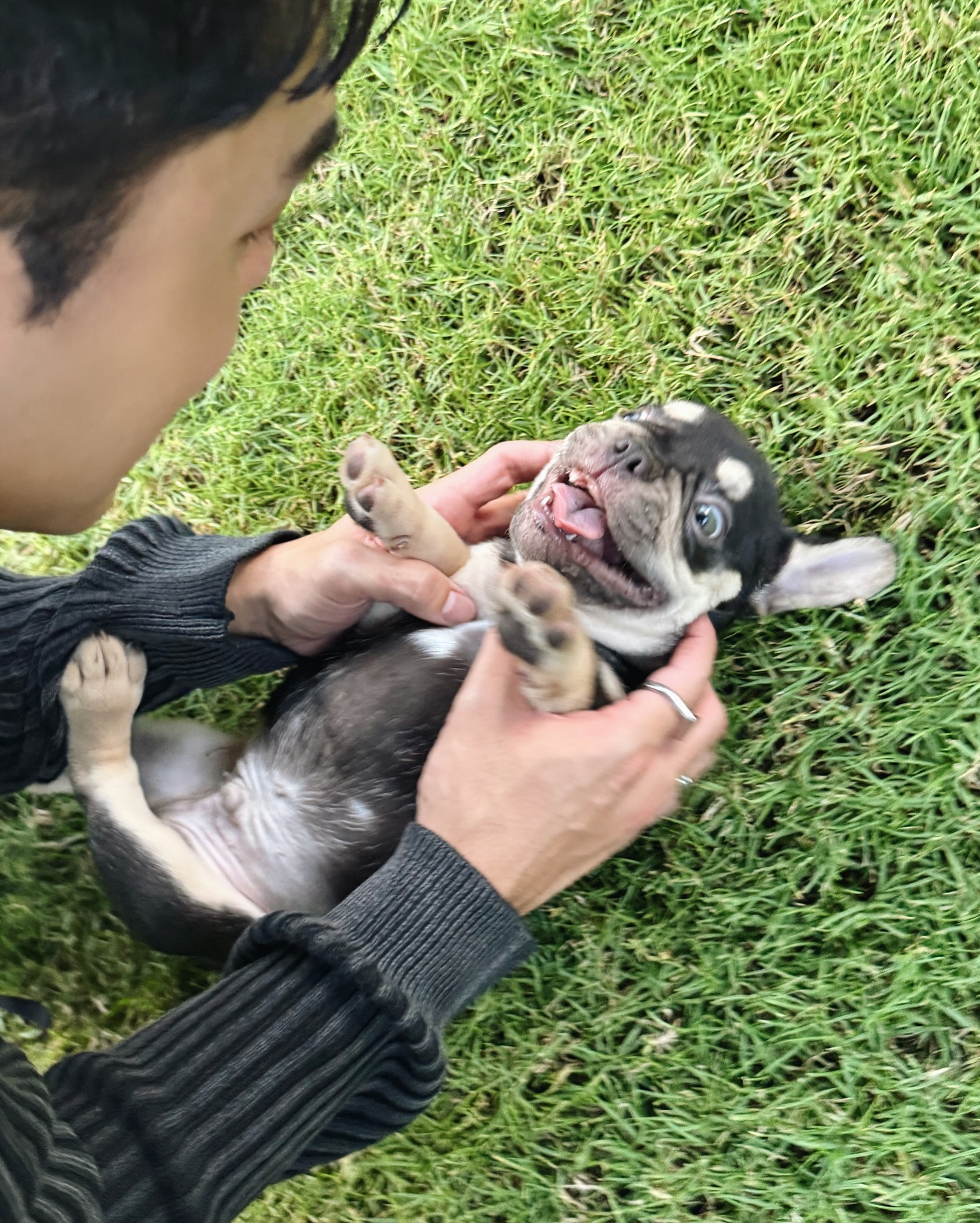 naphat nine 1728476782 3475037577655748143 1990094 — Postimages