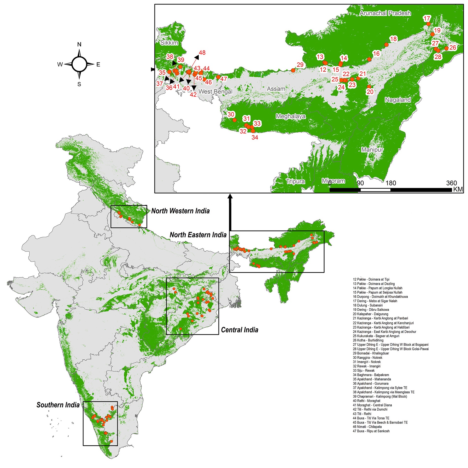 In Forests of Dooars, North Bengal