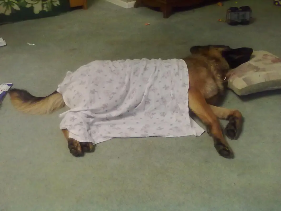 bzl U2 Wxiz ZQ — Postimages