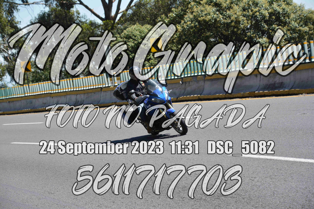 motgr DSC 5082 — Postimages