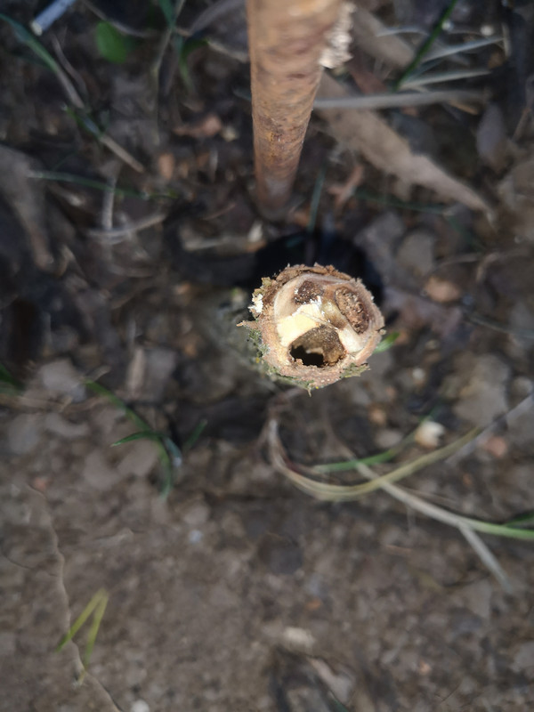 IMG 20230511 202017 — Postimages