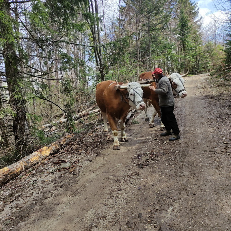 IMG 20220429 130916 636 — Postimages