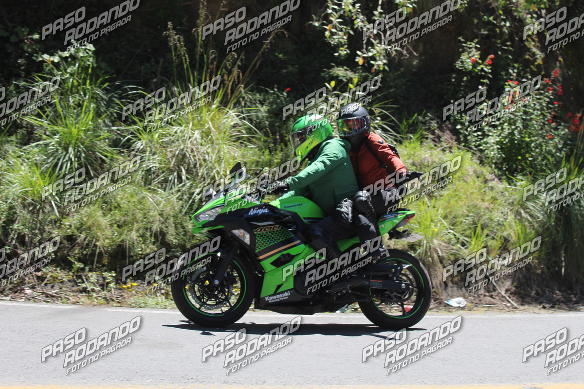 IMG 7311 wm 1128677 7 watermarked — Postimages