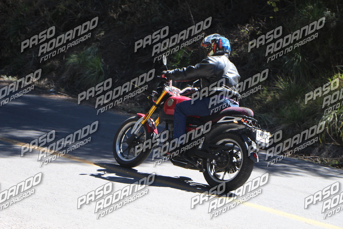 IMG 5399 wm 312021 watermarked — Postimages