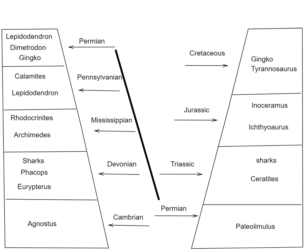 Diagram 20210727 3 Postimages diagram-20210727-3-postimages
