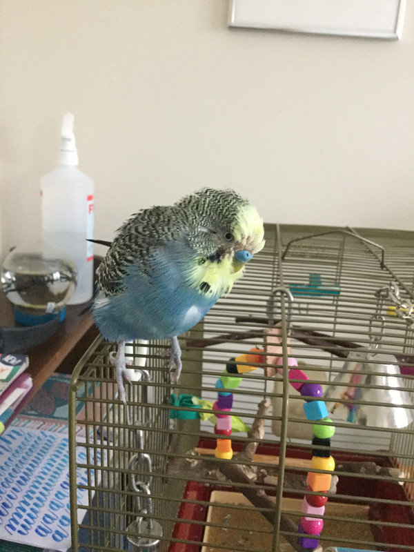 795 D5 E6 E 6 A74 4 F8 F BE49 6 FC498 C3 B594 — Postimages