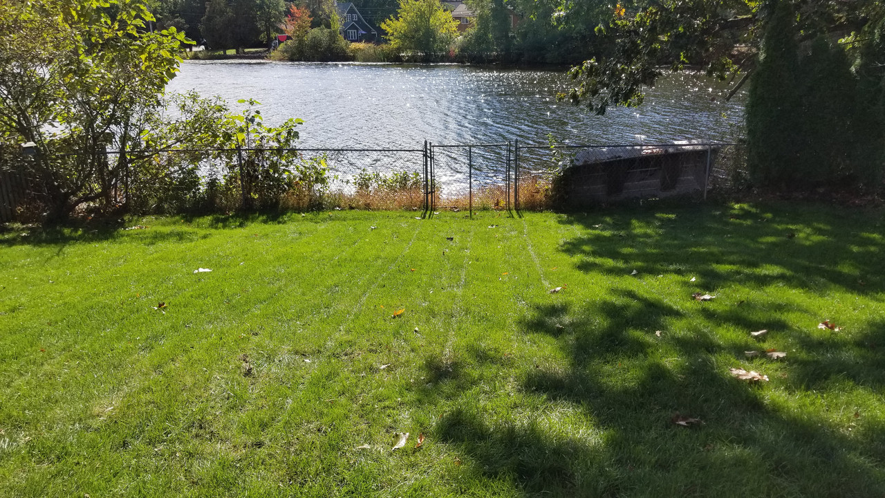 Overseed in Northern NJ Very Sparse | Lawn Care Forum