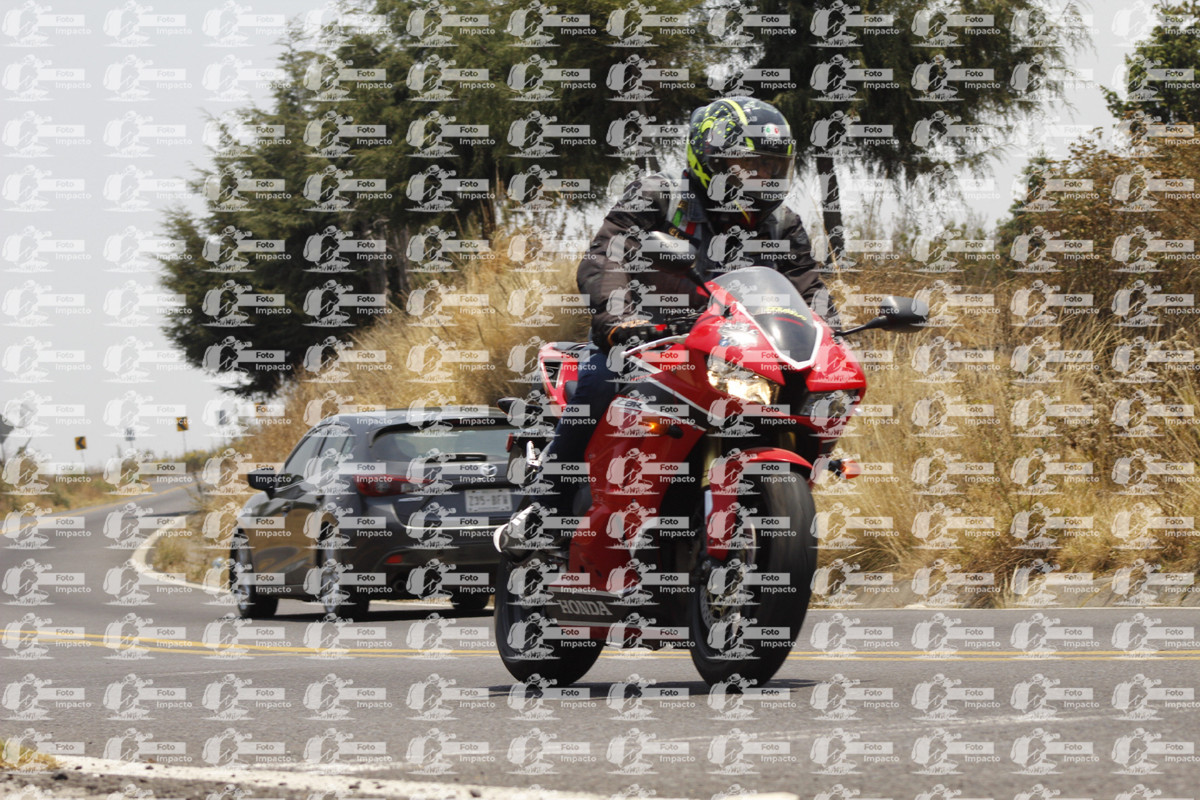 MG 0494 — Postimages