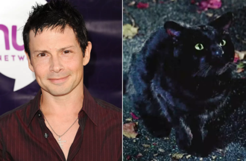 Hocus Pocus: 31 Year Anniversary!: ohnotheydidnt — LiveJournal