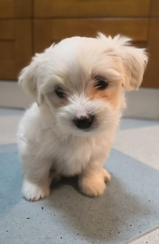 IMG 0846 — Postimages