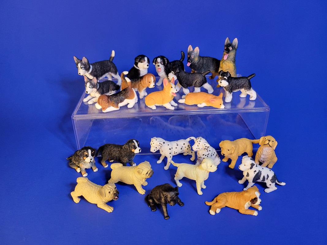 20221228 185035 — Postimages