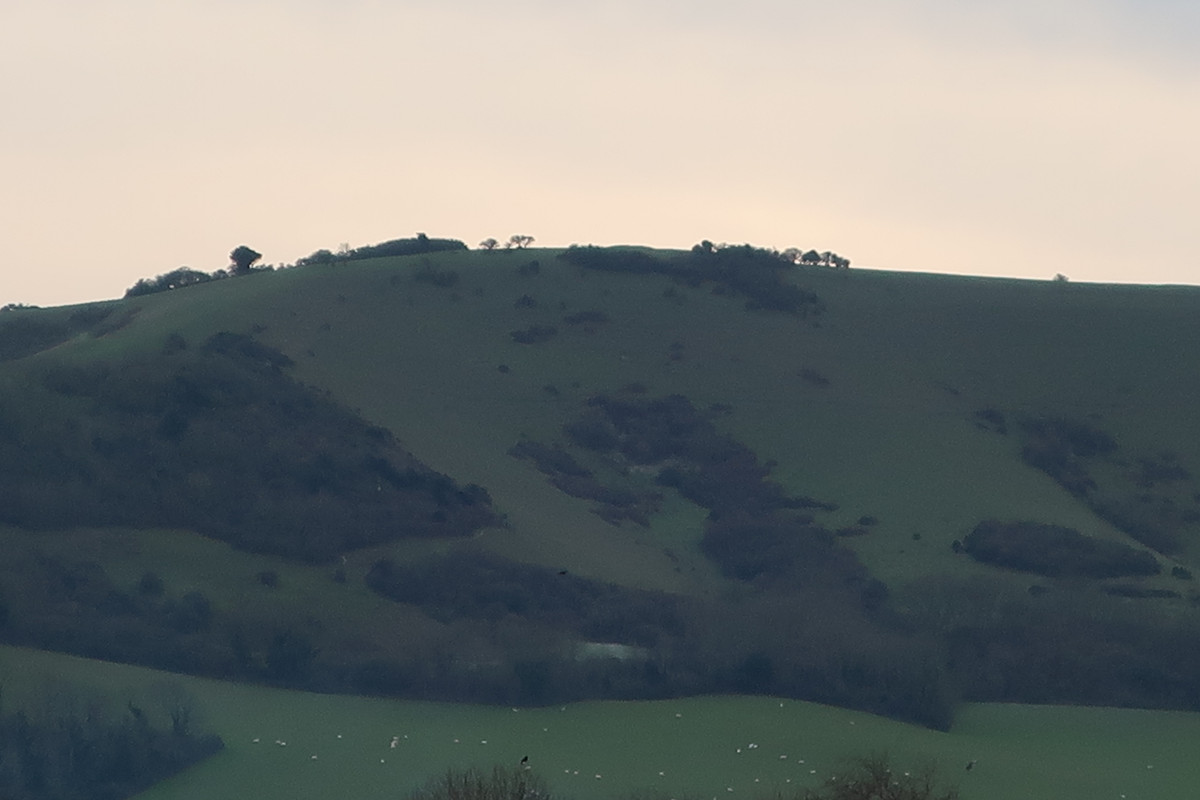 IMG 2873 — Postimages