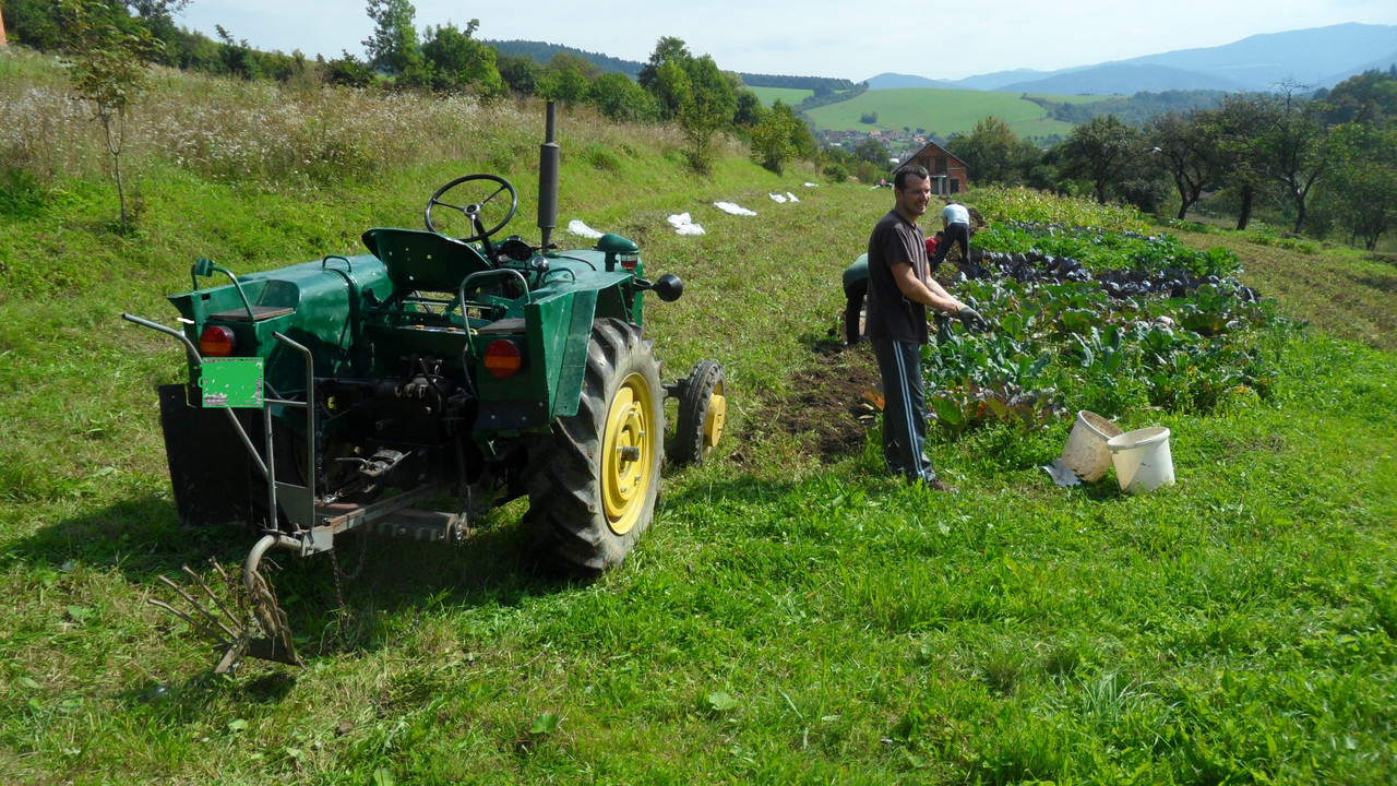 SAM 6573 kópia — Postimages