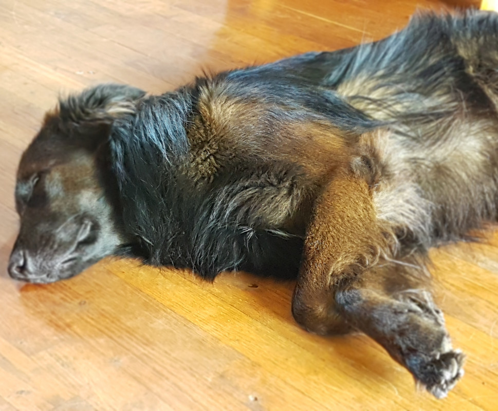 20190509 125520 — Postimages