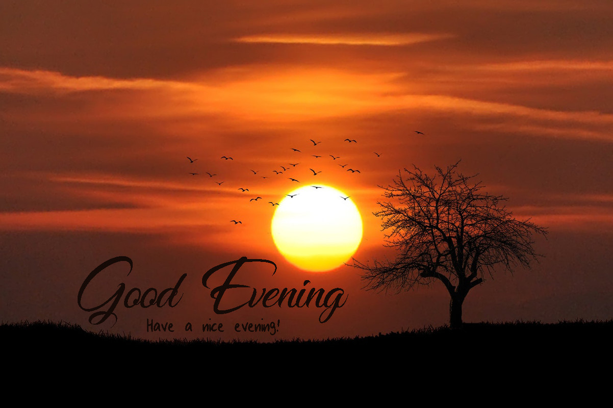 Good Evening Have A Nice Evening Postimages good-evening-have-a-nice-evening-postimages