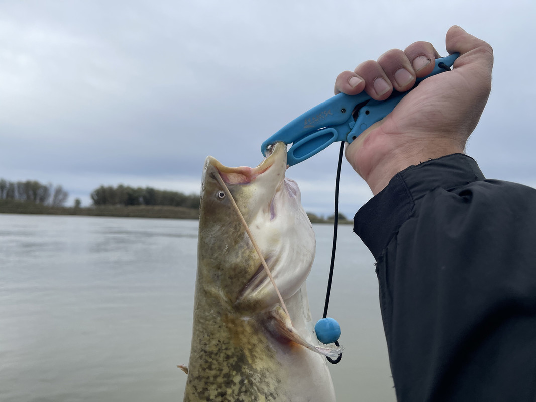 D3006 F6 B 4 C6 C 4 FD0 BA7 C 61 F72 C03 FAB7 — Postimages