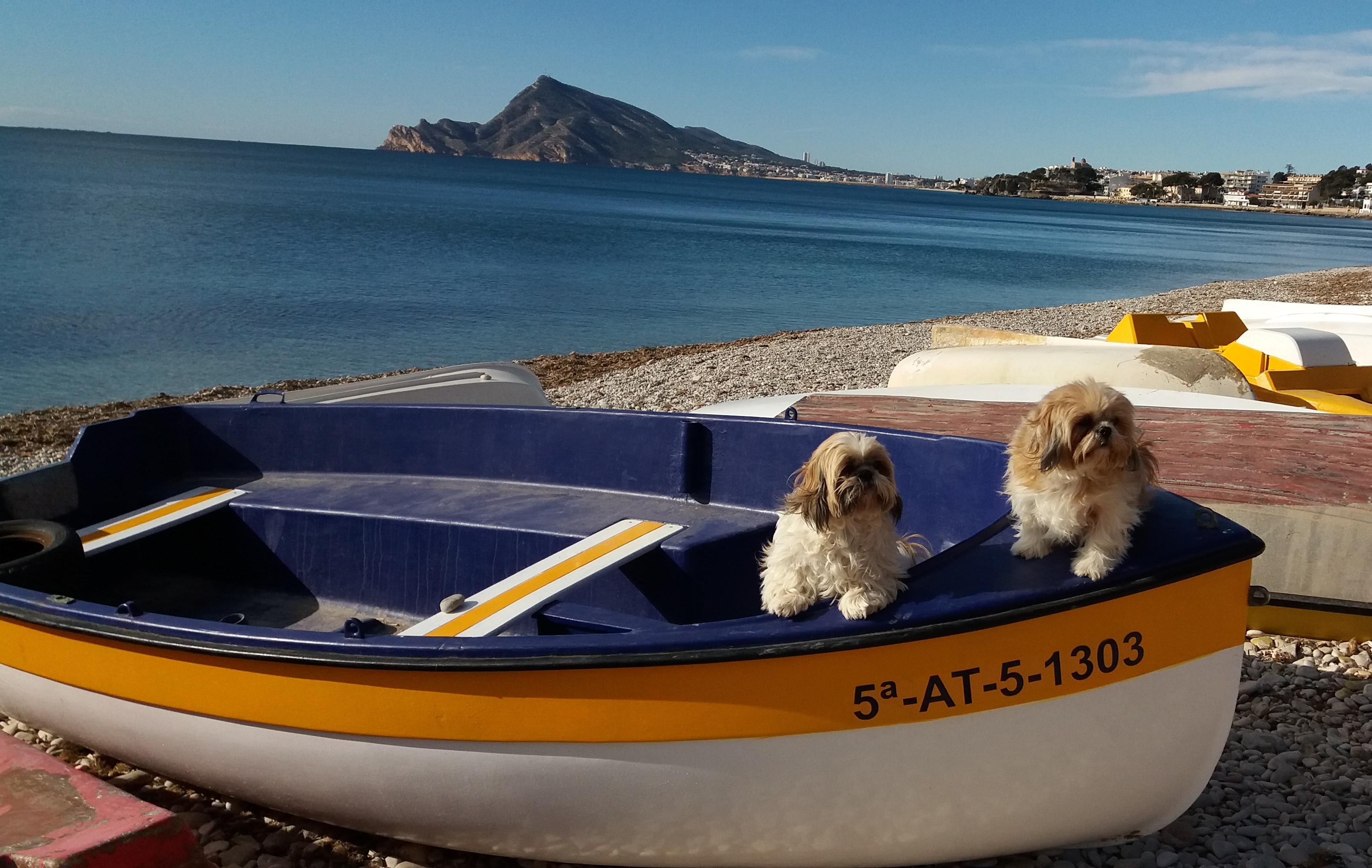 in bootje 2 — Postimages