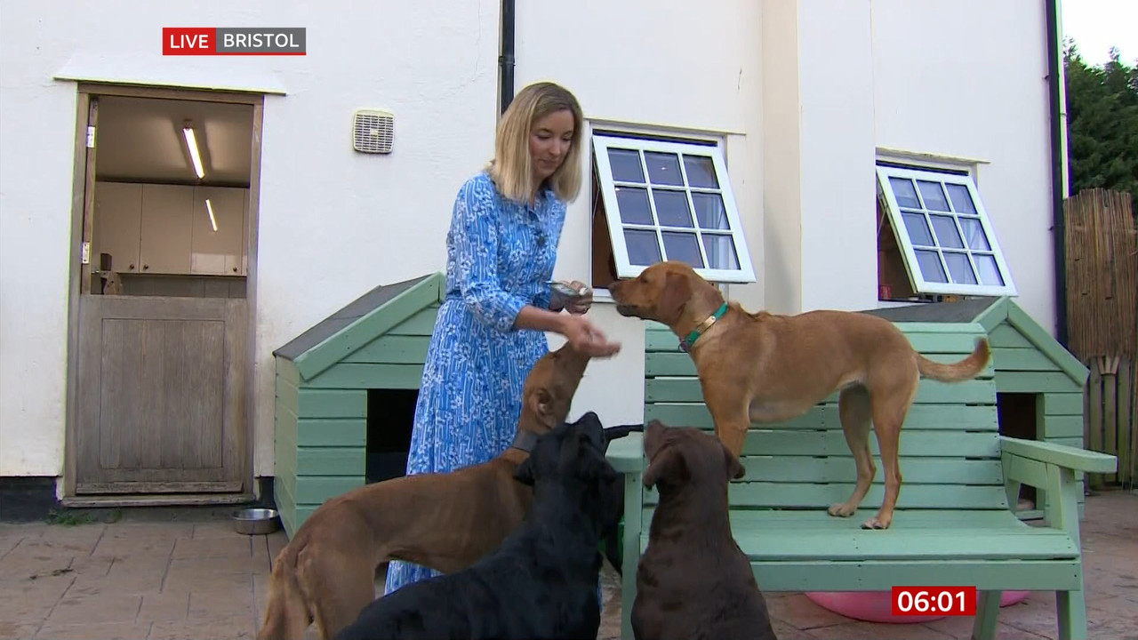 Breakfast 6 7 20220721 06000700 ts snapshot 01 16 023 — Postimages