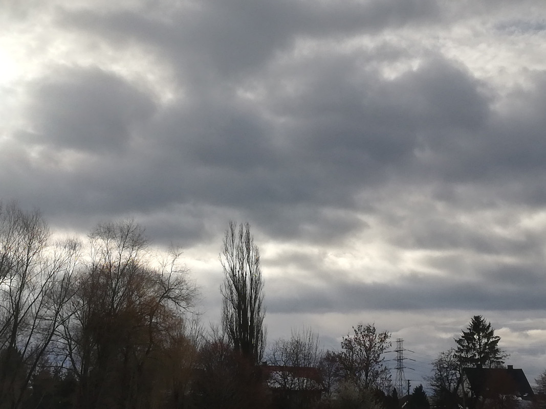 IMG 20221224 120914 — Postimages