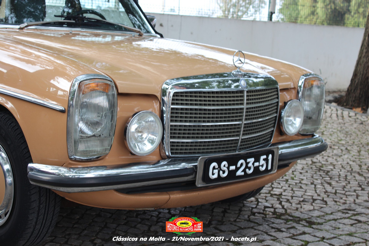 IMG 1098 — Postimages