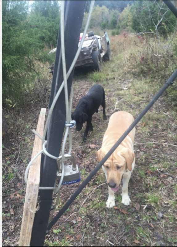 B6 B21 FF4 2562 4 E82 8 AAD 502 CF5 D650 EF — Postimages