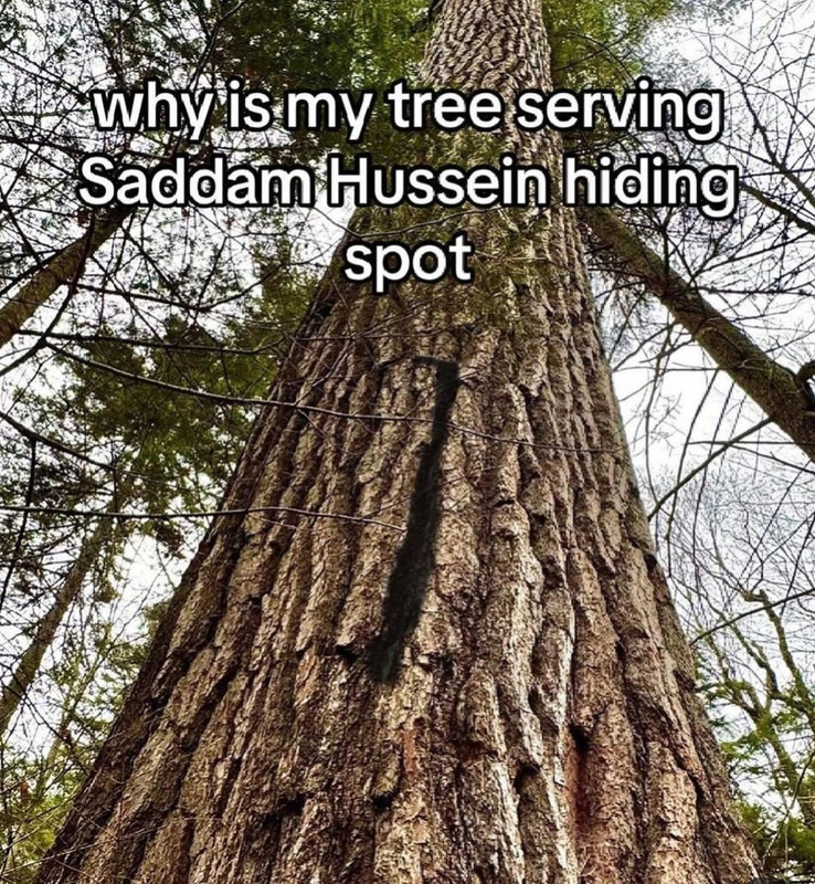 Screenshot 20240916 204430 — Postimages